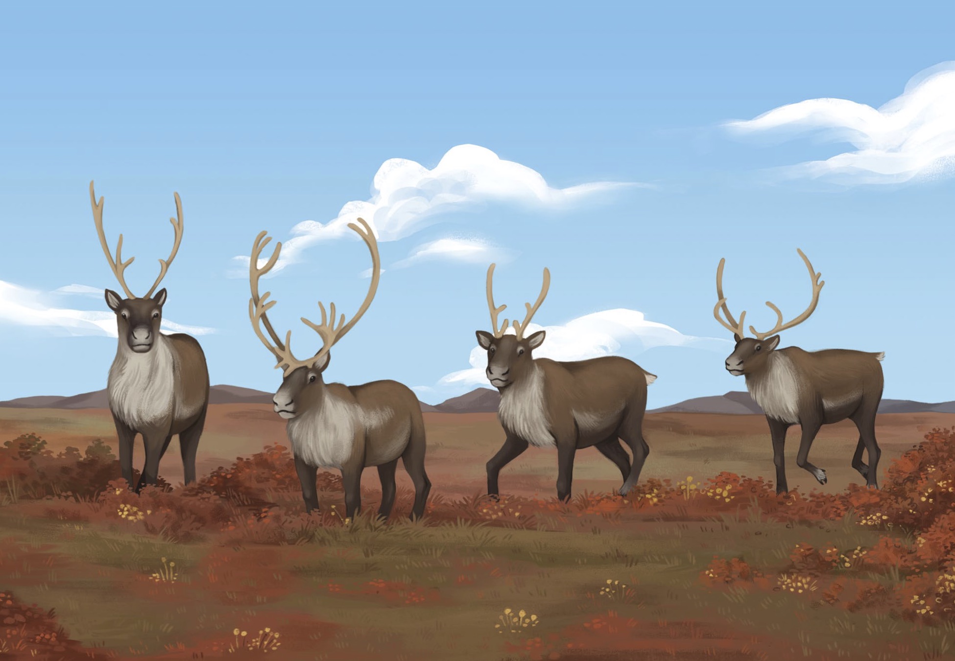 Children Books | The Nunavut Bilingual Education Society